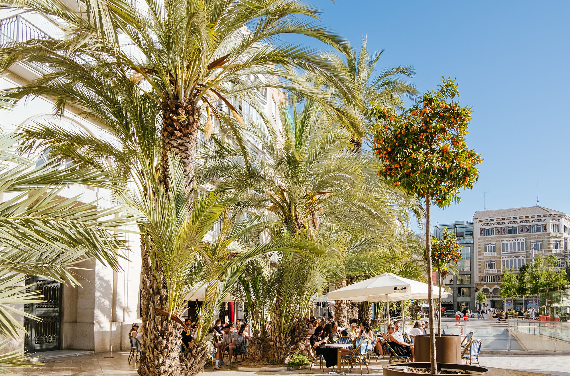 The Best Time to Visit Valencia - Range Travel